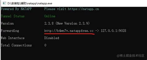 Natapp穿透内网vue项目natapp穿透，vue内网项目，出现报错 Invalid Host Header，通过配 掘金