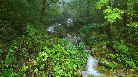 자연의 소리 계곡을 흐르는 물소리 Youtube