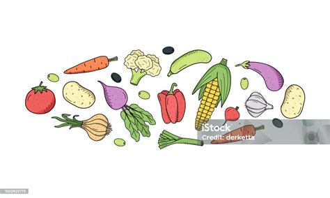낙서 스타일의 컬러 드로잉 야채 컬렉션입니다 수확의 벡터 일러스트레이션 세트 옥수수 감자 당근 무 사탕무 마늘 양파 토마토 등 가지 채소에 대한 스톡 벡터 아트 및 기타