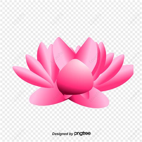 핑크 연꽃 일러스트분홍로터스 Png 일러스트 무료 다운로드 Lovepik