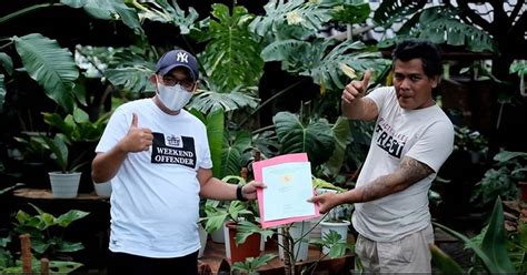Tanaman Hias Hebohkan Dunia Maya Rela Tukar Dengan Rumah Seharga Rp