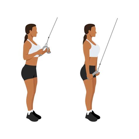 Treino De Bíceps E Tríceps Veja Os Melhores Exercícios Para Fazer Na