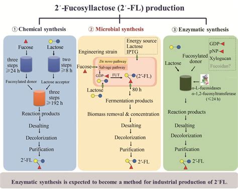 2 Fucosyllactose Manufacturers Suppliers Factory Wholesale Price Pioneer Biotech