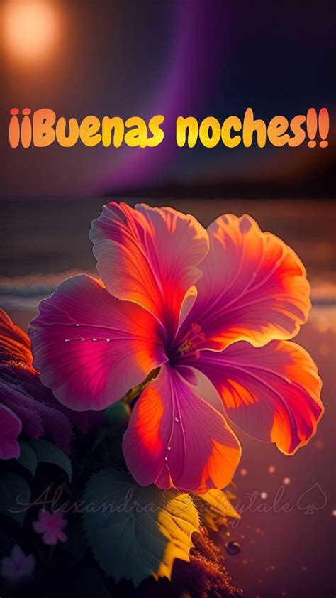 Pin de MIQUEL MOYA en imágenes Saludos de buenas noches Buenas noches frases Buenas noches
