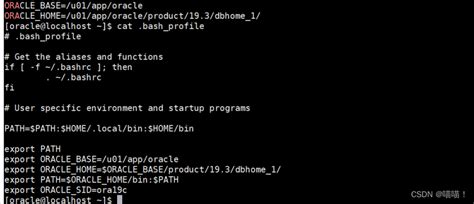 Oracle19c安装以及问题汇总ubuntu安装oracle19c Csdn博客