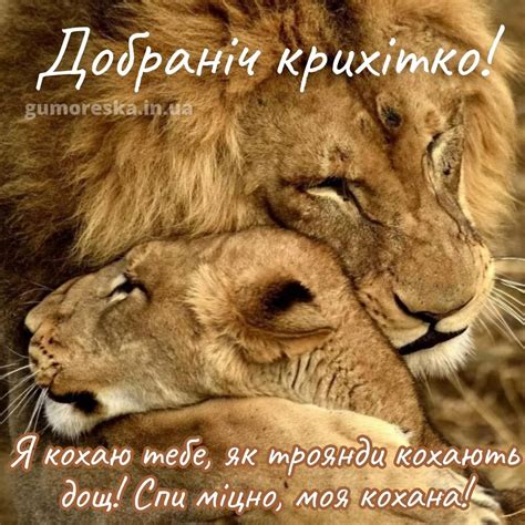 Надобраніч кохана добраніч коханий картинки і листівки