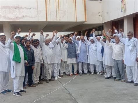 उचाना क्षेत्र में किसानों की नहीं सुन रहे अधिकारी जींद अलेवा जुलाना में ज्यादा नुकसान 2360