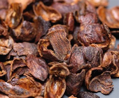 Cascara Tea What It Is And Why It Was Banned Green Coffee Collective