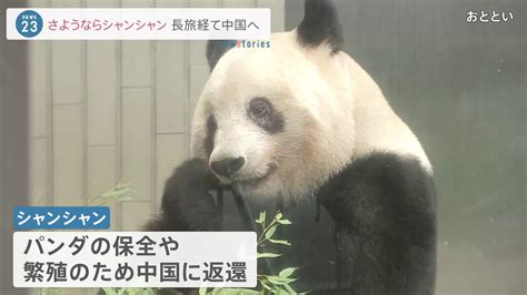 Tbs News Dig