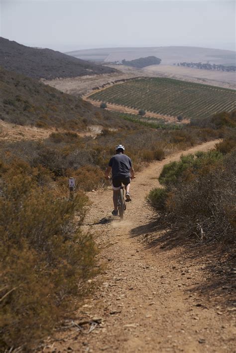 Activities Capaia Wines