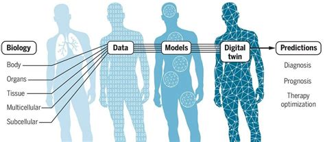 Innovation Digital Twin Drug Induced Sjs