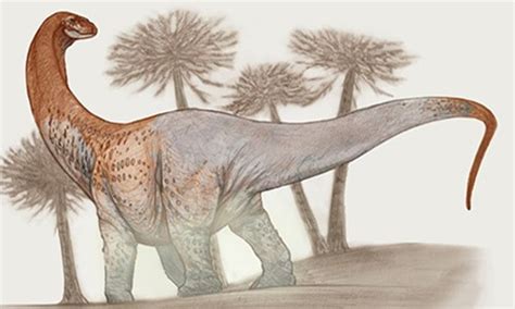 Kinh Ngạc Loài Khủng Long Khổng Lồ Nặng Gấp 5 Lần T Rex