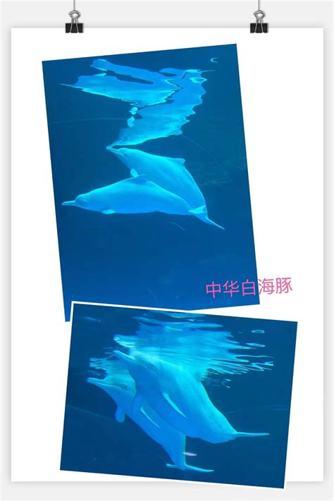 News Talkingchina Zhuhai Leisure Tour