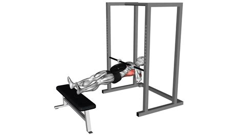 Master The Weighted Inverted Row Video Guide And Expert Tips