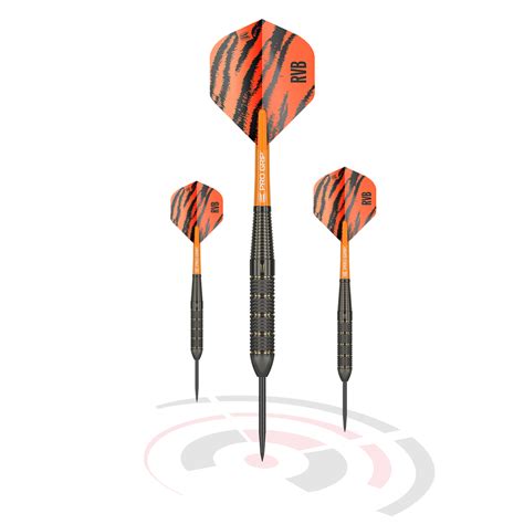 Target Raymond Van Barneveld Brass Steeldarts 22g 4 170014