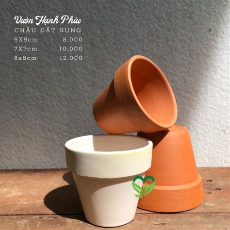 Chậu đất Nung Trồng Sen đá Xương Rồngnhiều Kích Thước 567cm