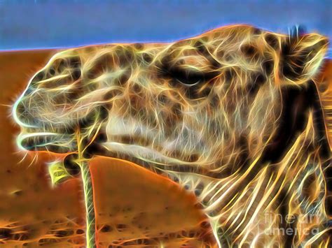 Camel Collection Mixed Media By Marvin Blaine Fine Art America