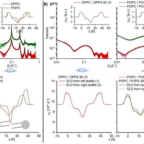 Fitted Saxs Data Upper Panel Sld Contrast Profile Insert And The