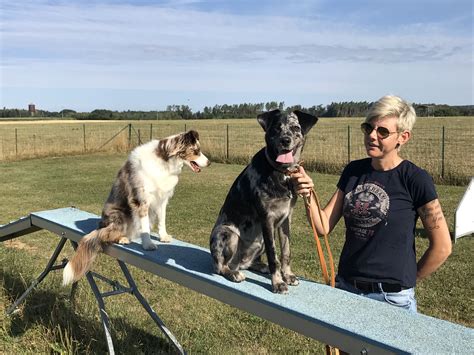 Gallerie Zare Schlass