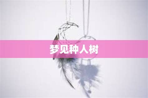 梦见种人树 命理解梦