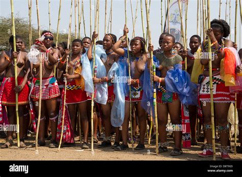 Zulu Maidens Deliver Reed Sticks To The King Zulu Reed Dance At