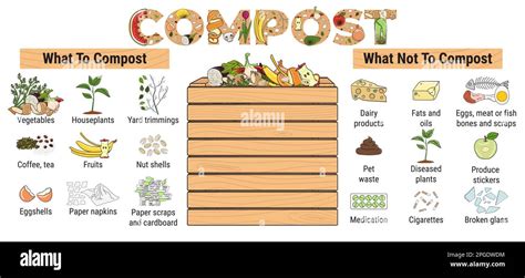 Infographic Of Garden Composting Bin With Scraps What To Or Not To