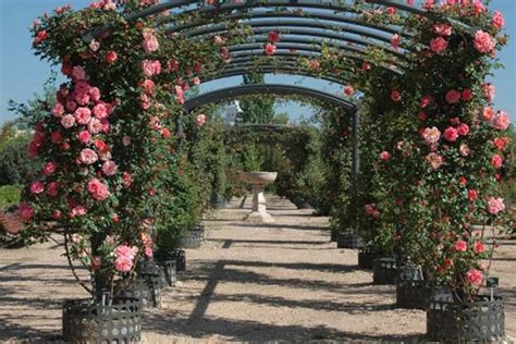 El Real Jardín Botánico Abre Sus Puertas Al Proyecto Internacional