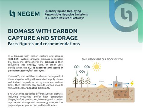 Factsheet Biomass With Carbon Capture And Storage Negem Project