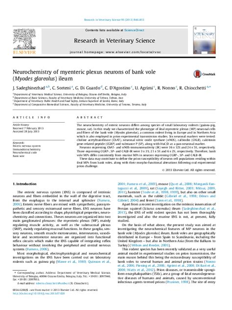 Pdf Neurochemistry Of Myenteric Plexus Neurons Of Bank Vole Myodes