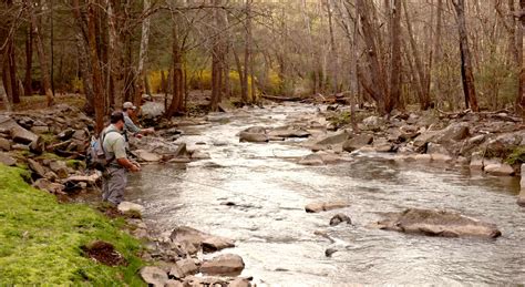 Best Trout Fishing In Wv Fee Fishing In West Virginia
