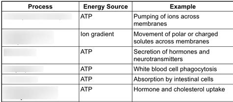 active process diagram quizlet