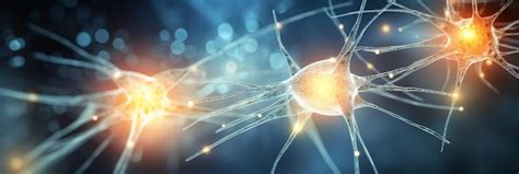 Premium Photo Abstract Background Of Interconnected Nerve Cells For