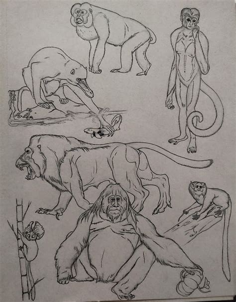 Speculative Flightless Bat By Artbyjrc Rspeculativeevolution