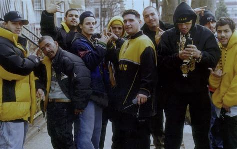 Where Did Latin Kings Originate From What Percentage Of The Latin