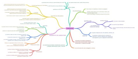 Criptococosis Coggle Diagram