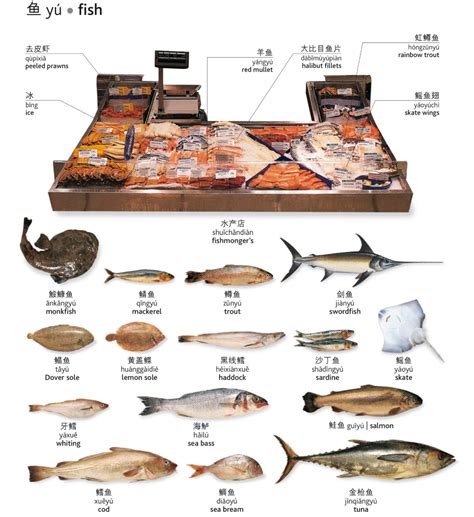 几乎所有食材的英文翻译学英语的人都会收藏配音标 知乎