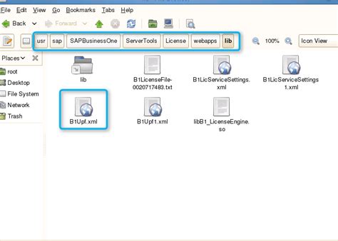unassigned licence sap b1 sap business one
