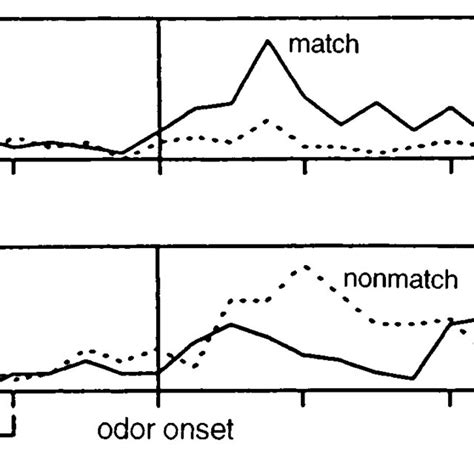 Responses Of Entorhinal Cortex Cells During The Test Download