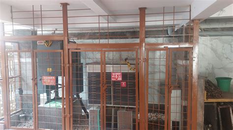Transformer Installation Service At Rs Service In Bengaluru ID