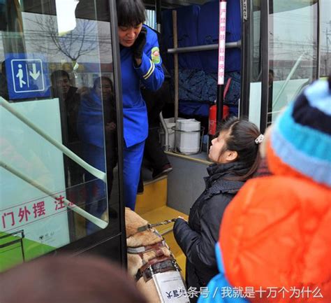 女主人帶著導盲犬乘車，卻因為售票員而尷尬了 每日頭條