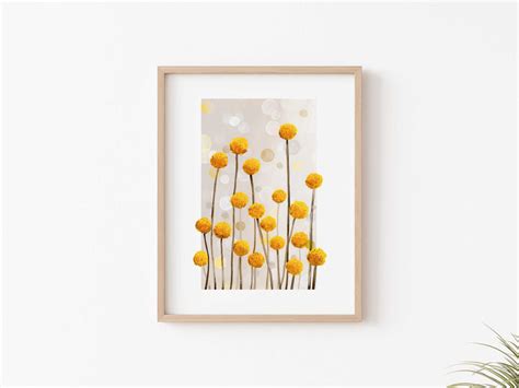 Billy Buttons Art Print Daisy Vibe
