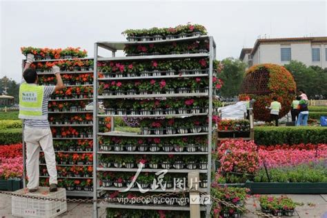 天安門廣場綠地更換花卉迎國慶 每日頭條