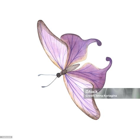 상세한 날개가 고립 된 밝은 보라색 나비 수채화 손으로 그린 현실적인 곤충 Llustration 디자인 곤충에 대한 스톡 벡터