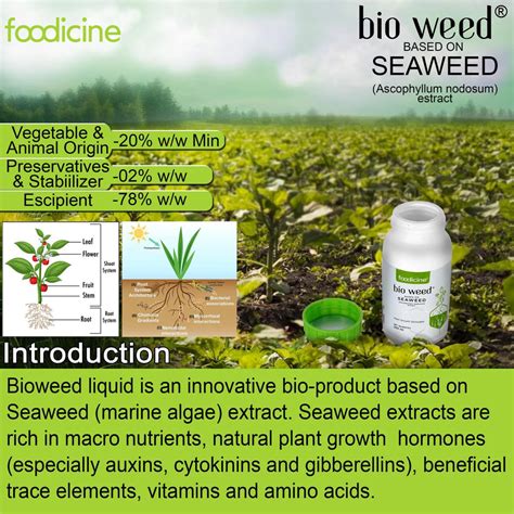 Imported Seaweed Extract Bio Fertilizer Organic Growth Booster