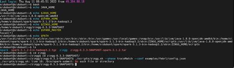 Getting Error While Running Zingg On Ubuntu Machine · Issue 432