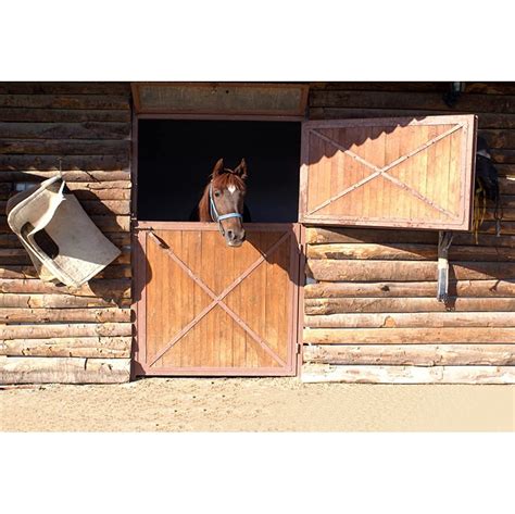 Laeacco 7x5ft Vinyl Photography Background Turkey Farm