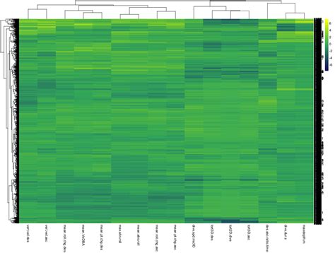 Data Visualization Interpreting Cluster Heat Maps From R Cross