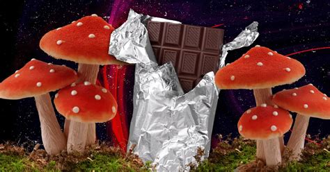 The Shroom Boom Is Coming To The Candy Aisle The Hustle
