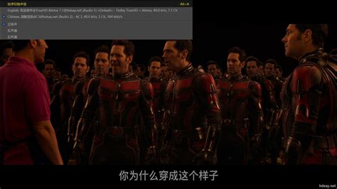 蚁人1 3部次世代国英双语 Mkv705gb 4k Hdr特效字幕洗版珍藏 2015 2023漫威宇宙 豆瓣73分