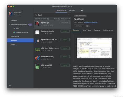 [课业] 软件安全 使用find security bugs工具静态分析webgoat csdn博客